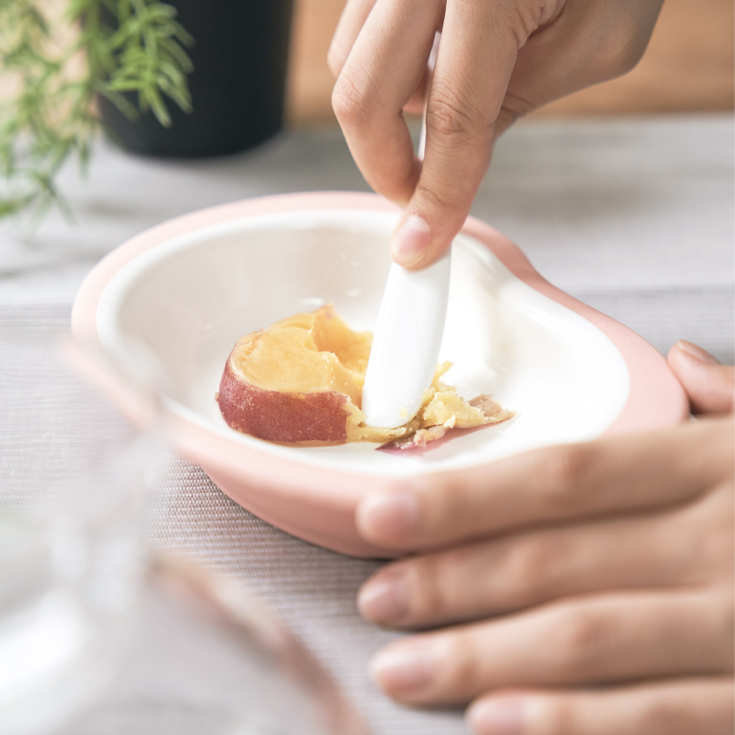 FIRST FEEDING UTENSIL SET | EDISONmama GLOBAL(ENGLISH)